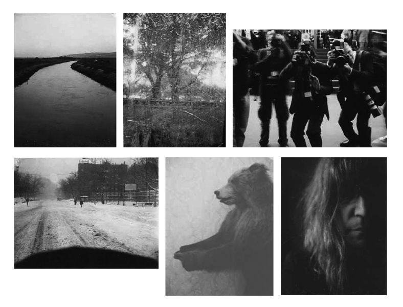 A fotografia de Patti Smith